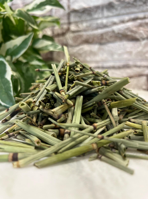 Cola de Caballo – Madre Tierra By Yuriana