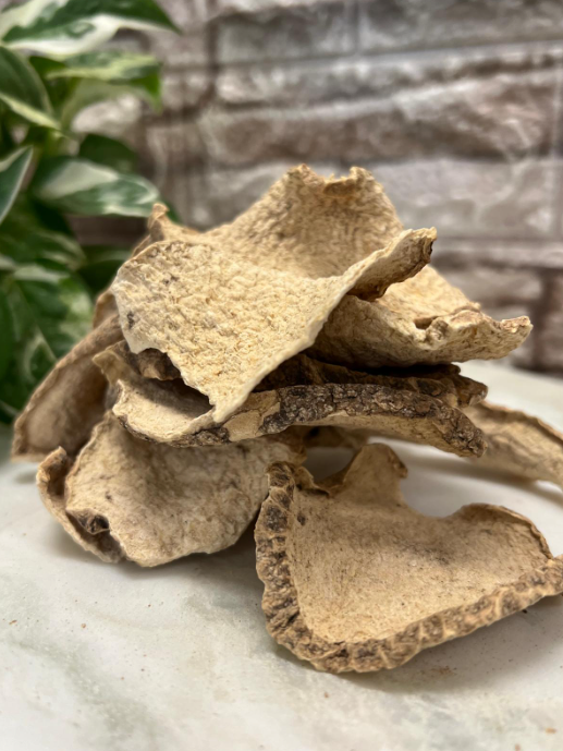 Wereke – Madre Tierra By Yuriana